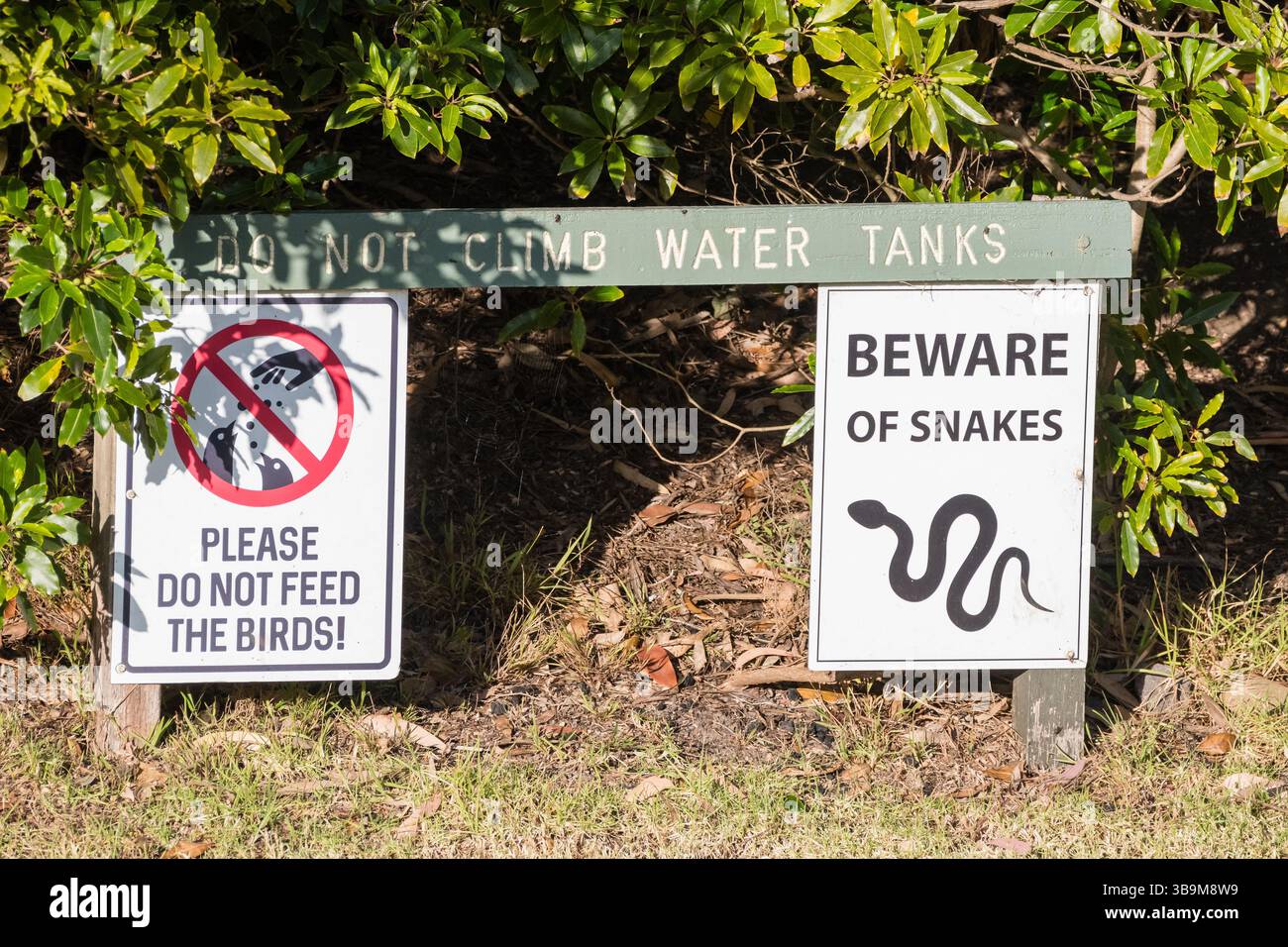 warning signals, please do not breed the brids, beware of snakes, do ...