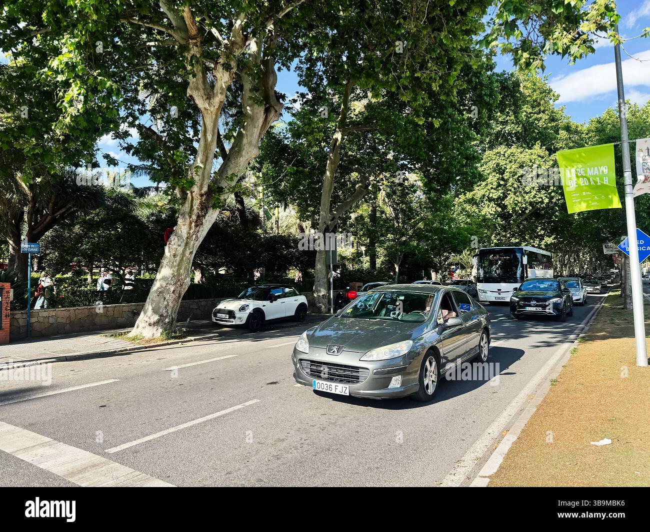 Malaga, Spain - May 02, 2025: Cars and a bus passing under lush trees ...