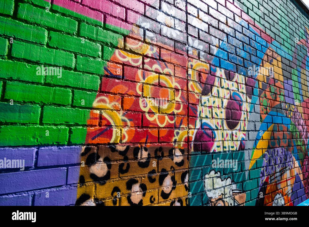 Artist Louis Masai working on a mural for Hit the North Translink ...