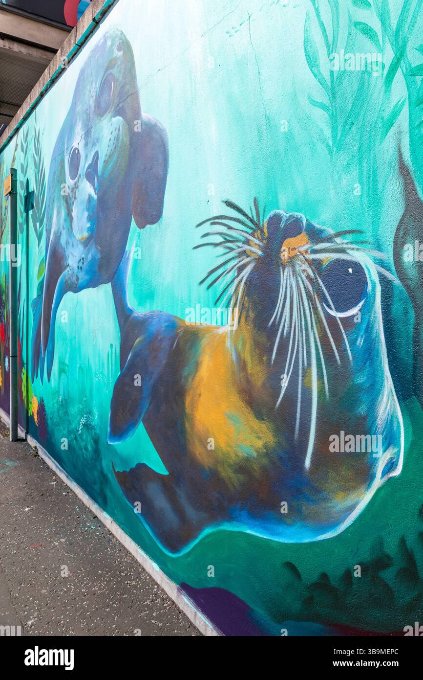 Sammy the Seal at Laganside Bus Station, Belfast Stock Photo - Alamy
