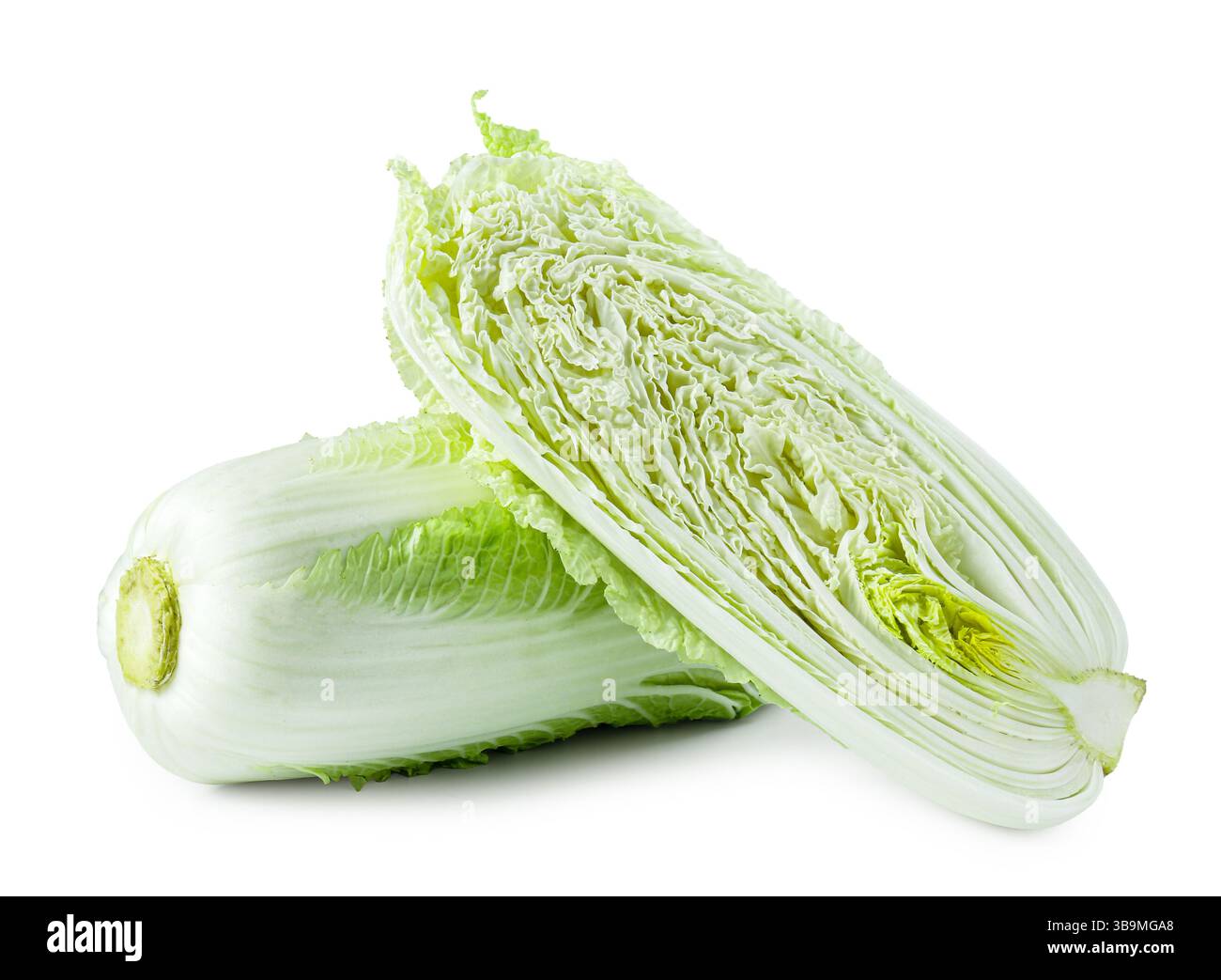 Whole and cut fresh Chinese cabbages isolated on white Stock Photo - Alamy