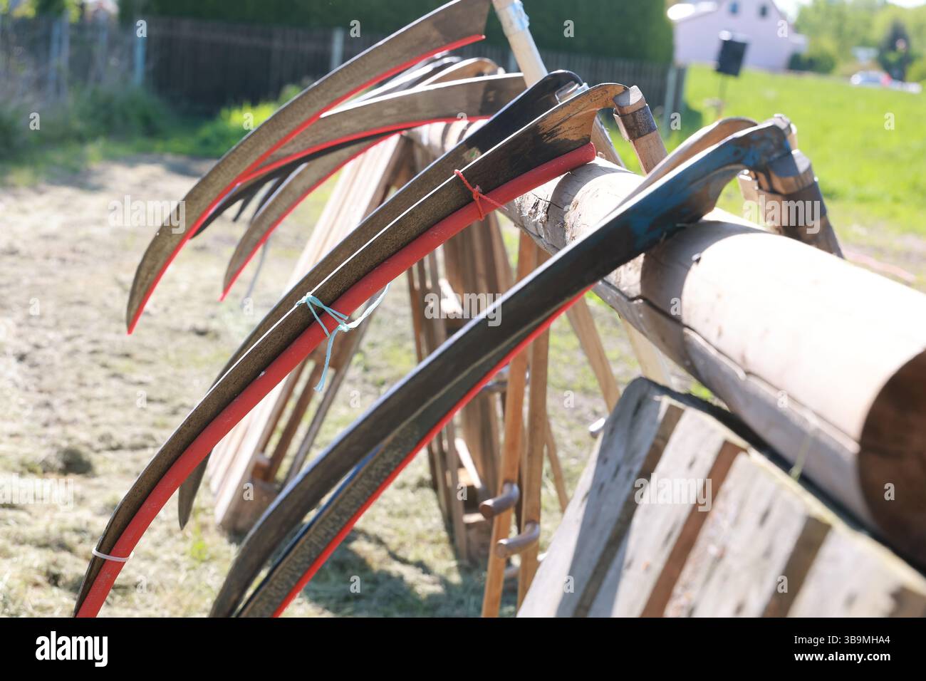 Rositz, Germany. 10th May, 2025. Scythes lie on a scythe tree at the ...