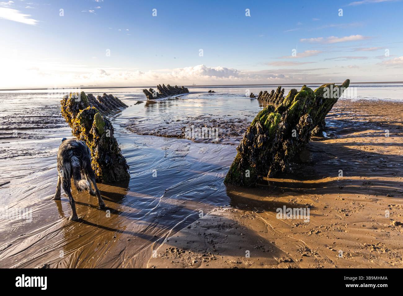 The wreck of the Norwegian ship SS Nornen which ran aground on the ...