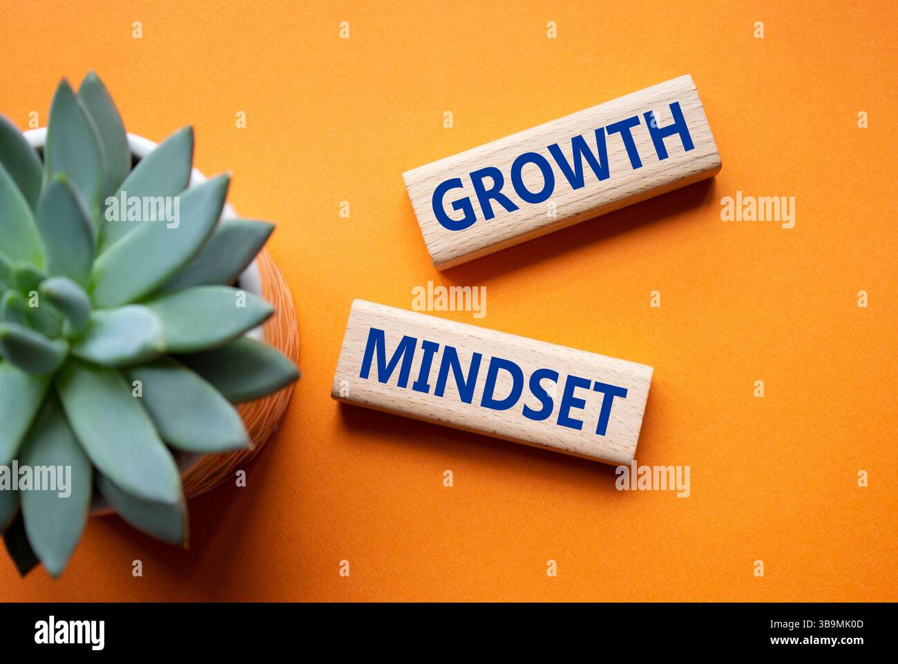 Growth Mindset symbol. Concept word Growth Mindset on wooden blocks ...