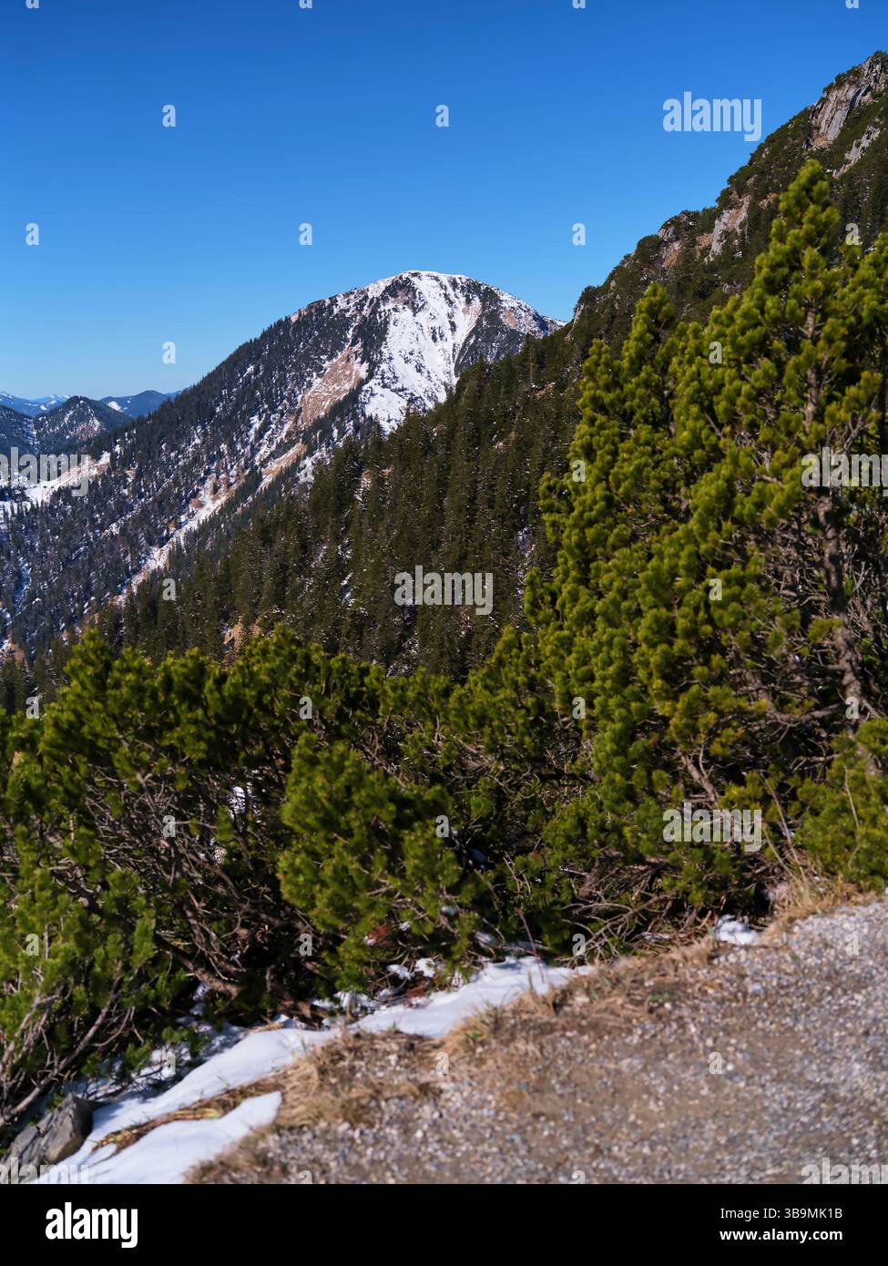 Snow-covered mountains and lush greenery in a scenic landscape during ...