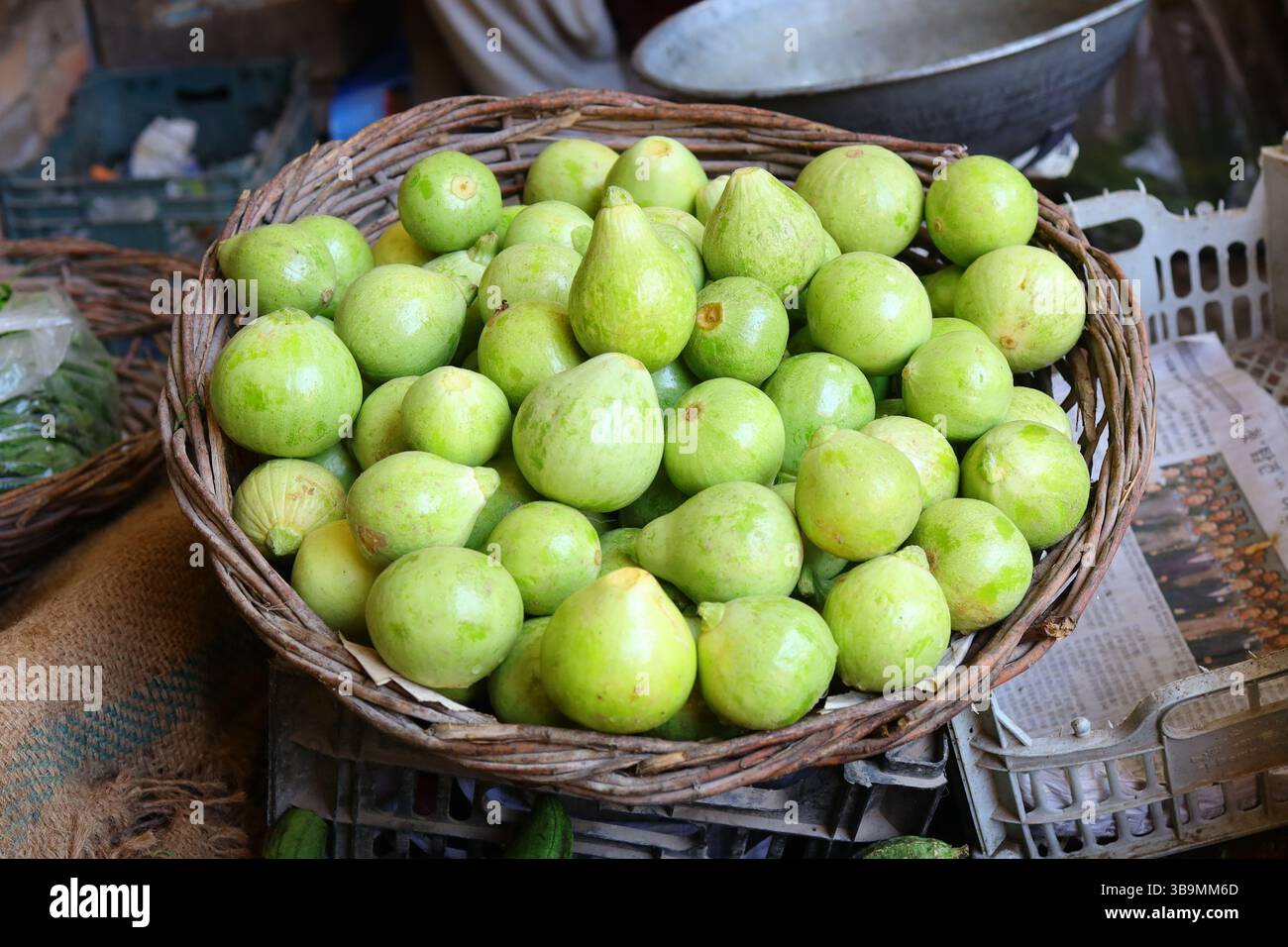 Include spots hi-res stock photography and images - Alamy