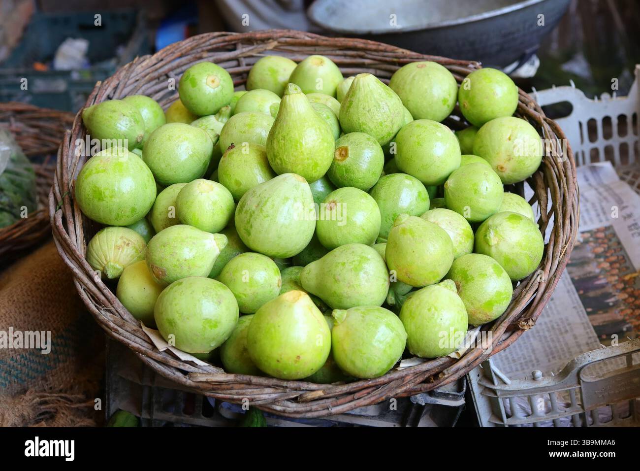 Indian round gourd hi-res stock photography and images - Alamy