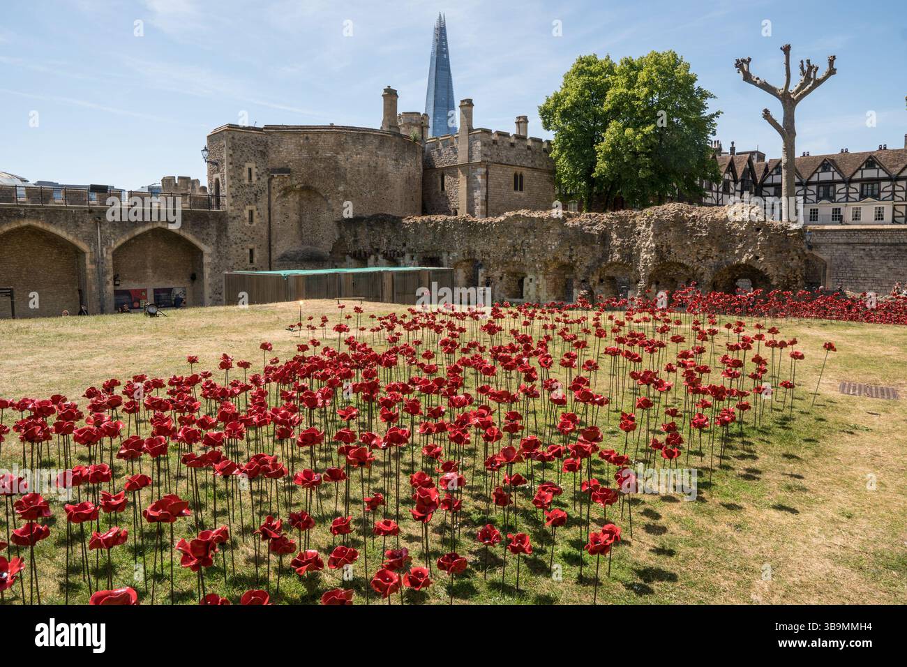 Poppies in the Tower of London for the 80th Anniversary of VE Day ...