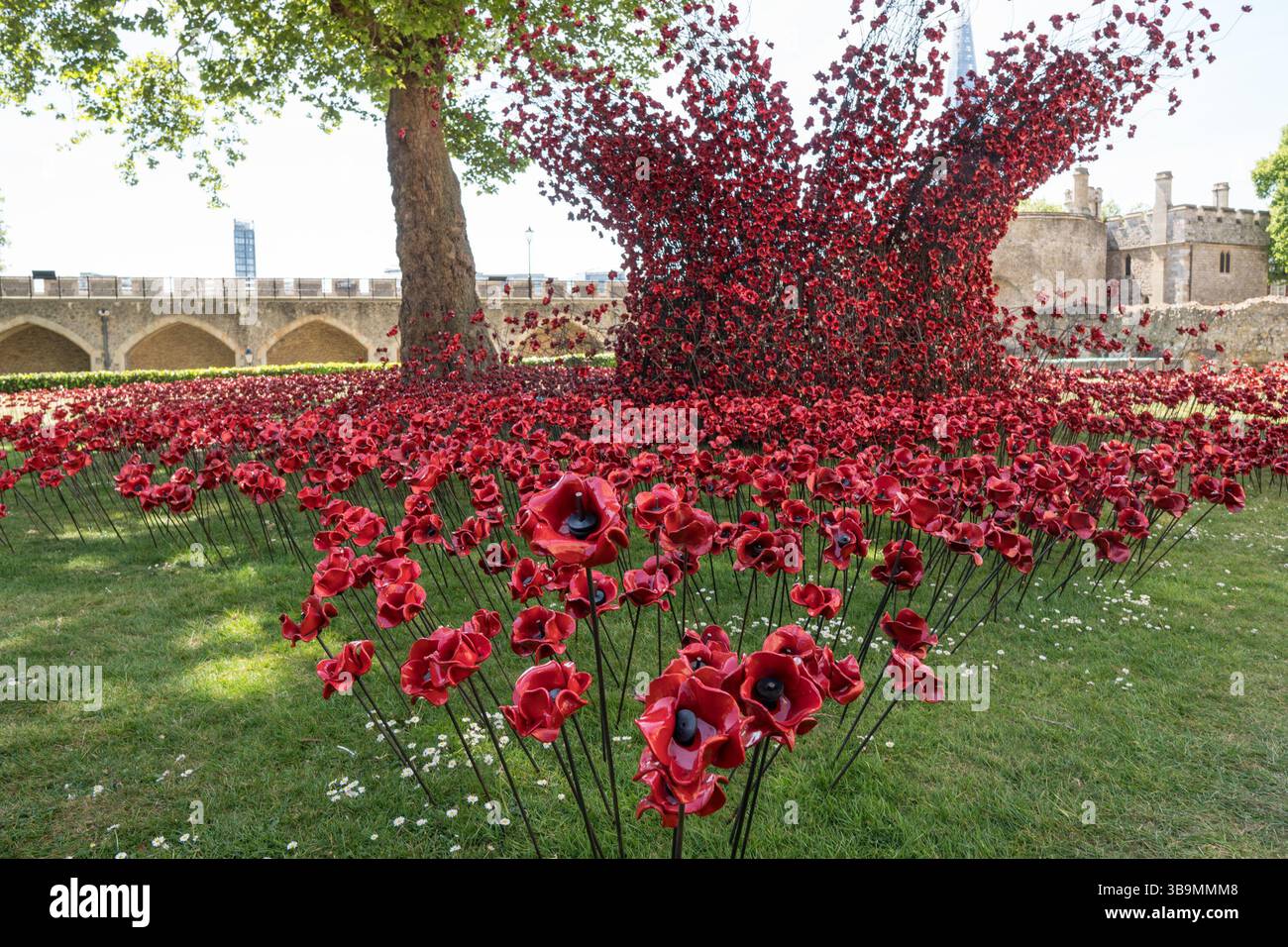 Poppies in the Tower of London for the 80th Anniversary of VE Day ...