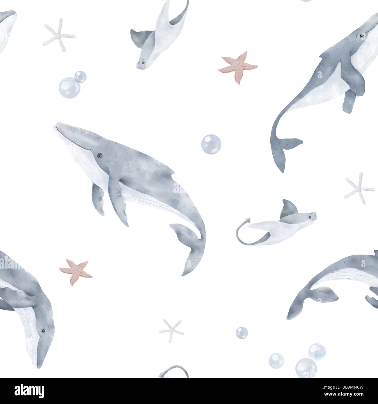 A humpback whale and a sea stingray swim in the underwater world of the ...