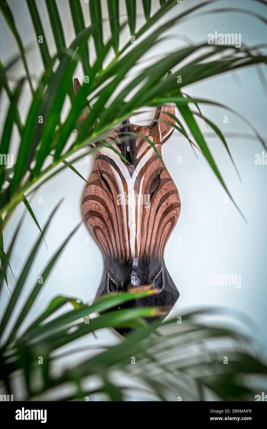 The image shows a close-up view of a tropical zebra. Zebra has a ...