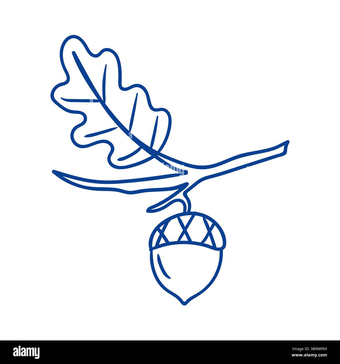 Illustration of an acorn hanging from an oak tree branch with detailed ...