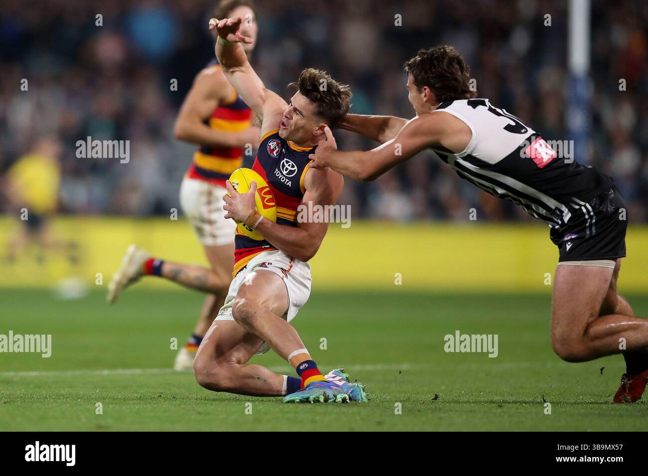 Adelaide, Australia. 10th May, 2025. Ben Keays of the Crows is tackled ...