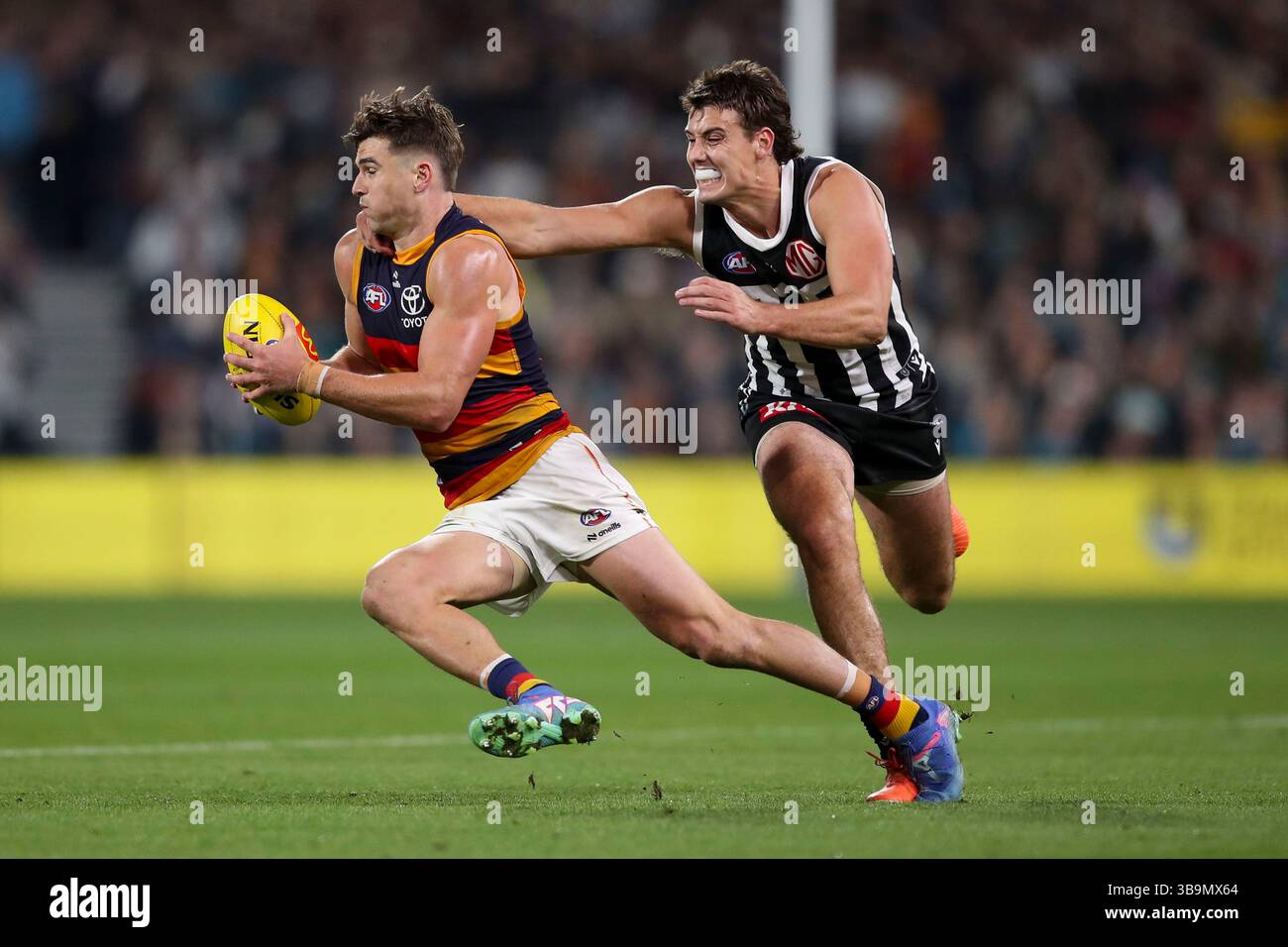 Adelaide, Australia. 10th May, 2025. Ben Keays of the Crows is tackled ...