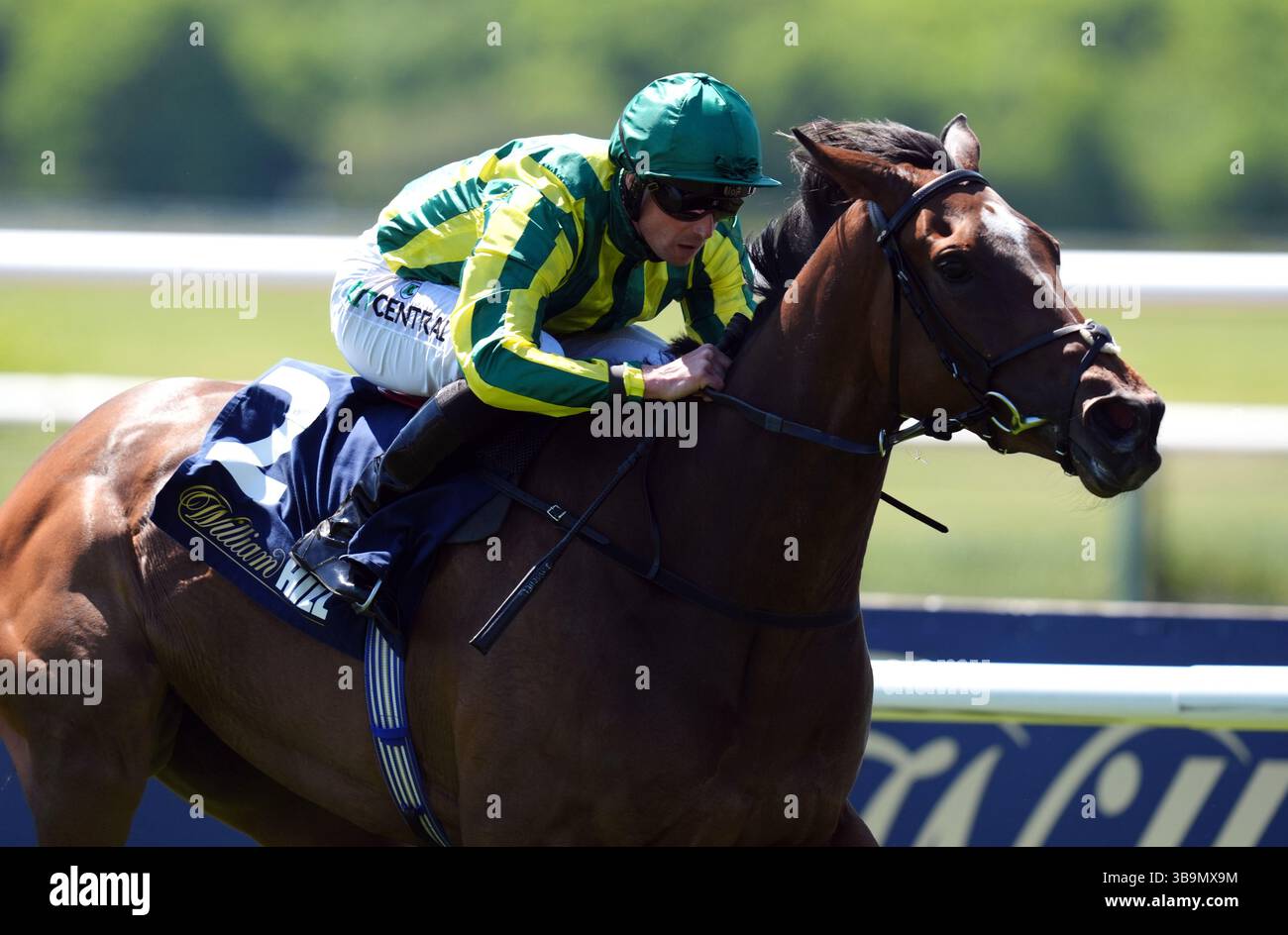 Harpsichord ridden by Jack Mitchell during the William Hill Oaks Trial ...