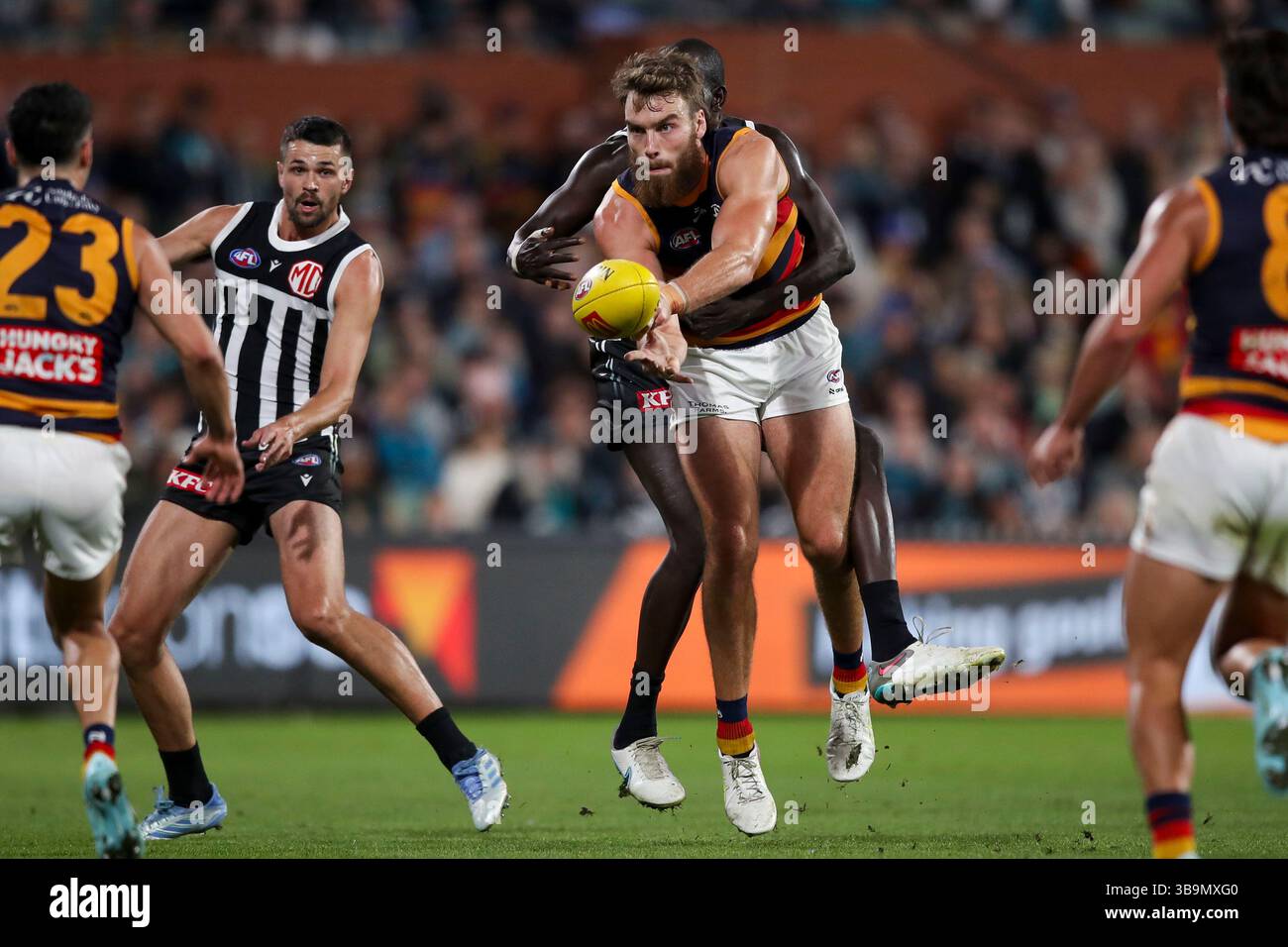 Adelaide, Australia. 10th May, 2025. Riley Thilthorpe of the Crows is ...