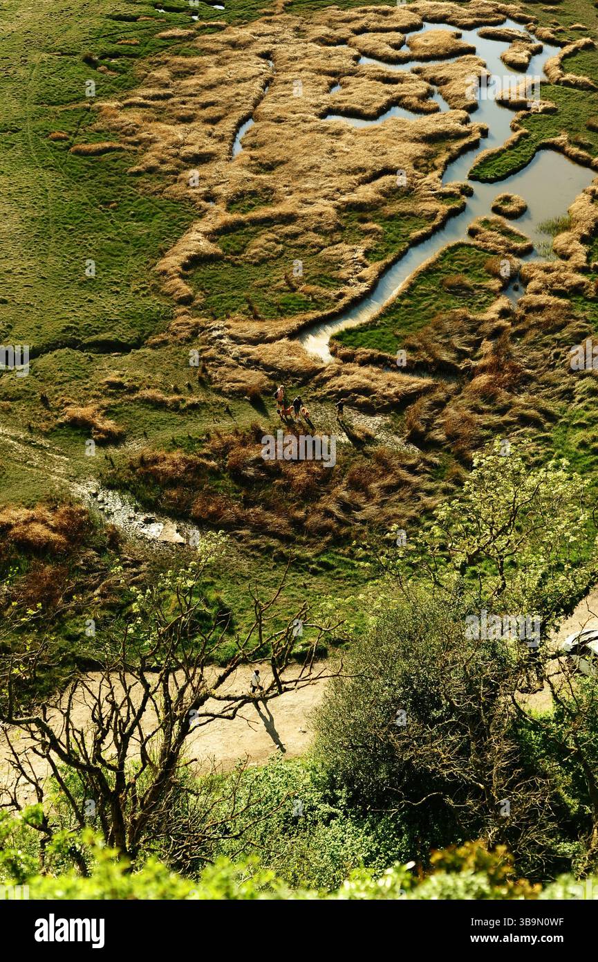 Walkers marsh land hi-res stock photography and images - Alamy