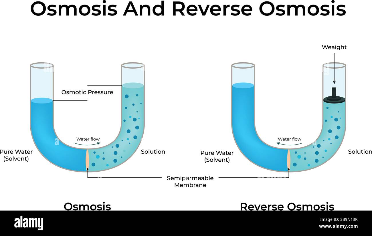 Definitive Guide to Reverse Osmosis Design Vector Illustration Stock ...