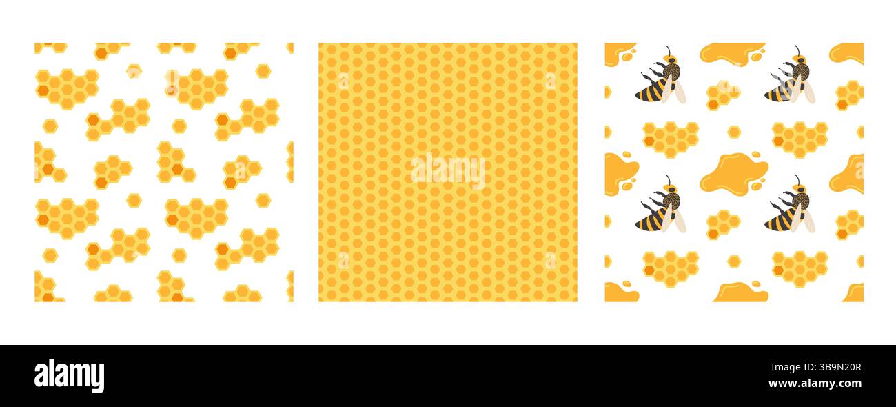 Colorful honeycomb patterns featuring hi-res stock photography and ...