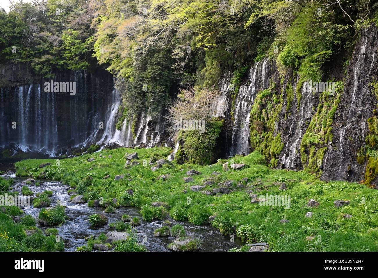 Shiraito Waterfall,Fuji-Hakone-Izu National Park,Yamanashi Prefecture ...