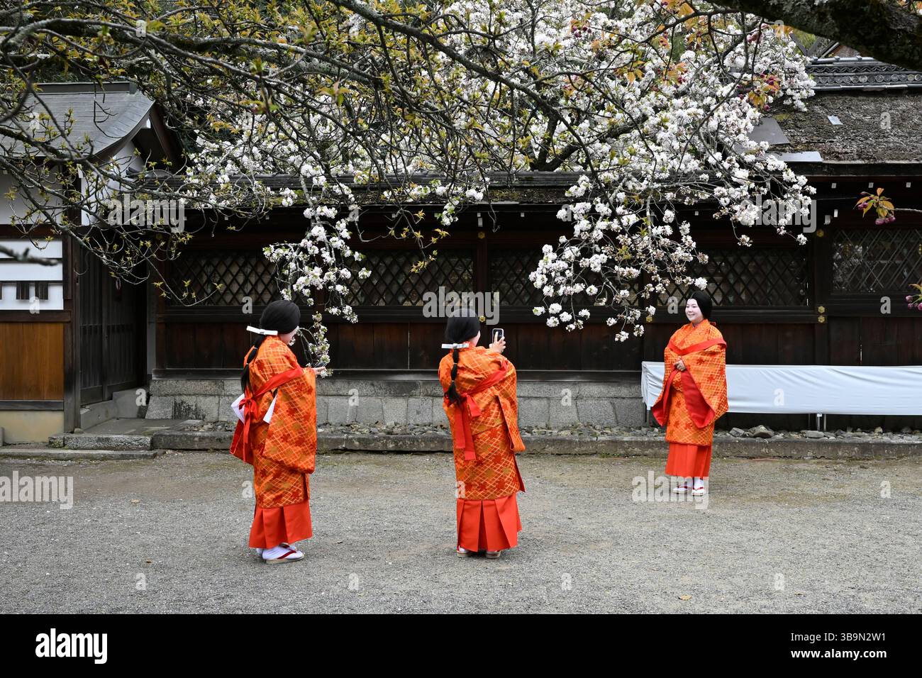 Japanese women in costumes from the Heian period, Hirano shrine's ...