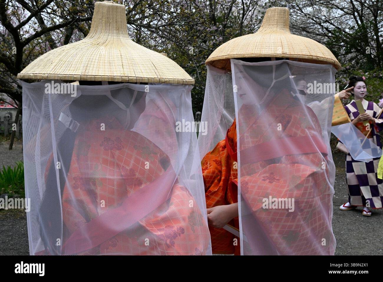 Japanese women in costumes from the Heian period, Hirano shrine's ...