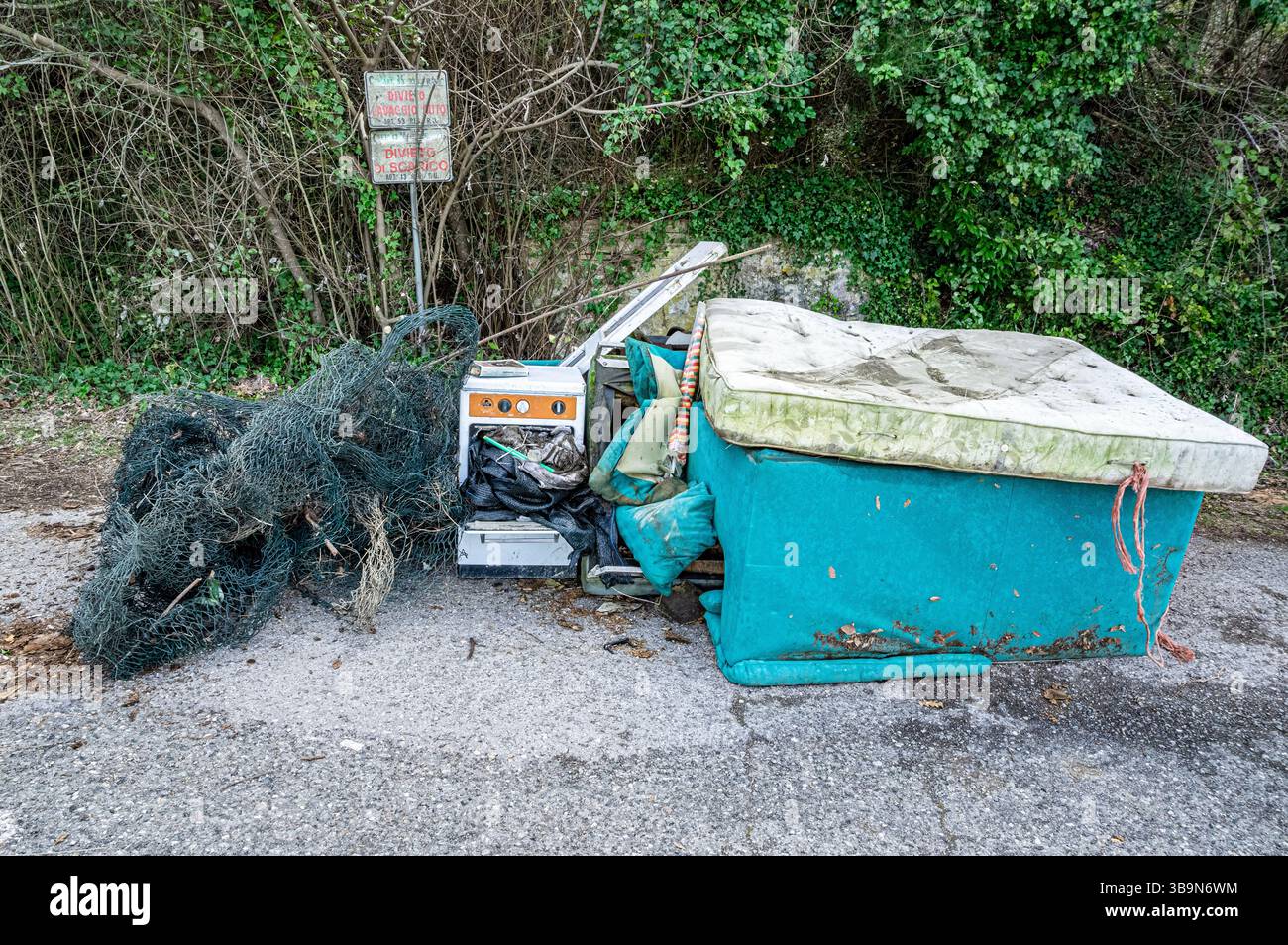 Dedicated individuals work together to remove trash from the woods ...