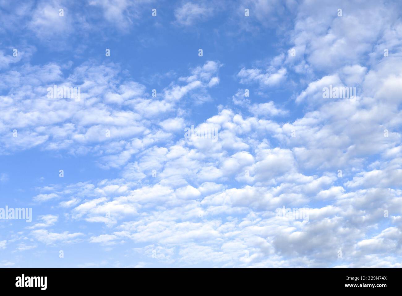 Cirrocumulus fleecy clouds Cloud field large group of small cumulus ...