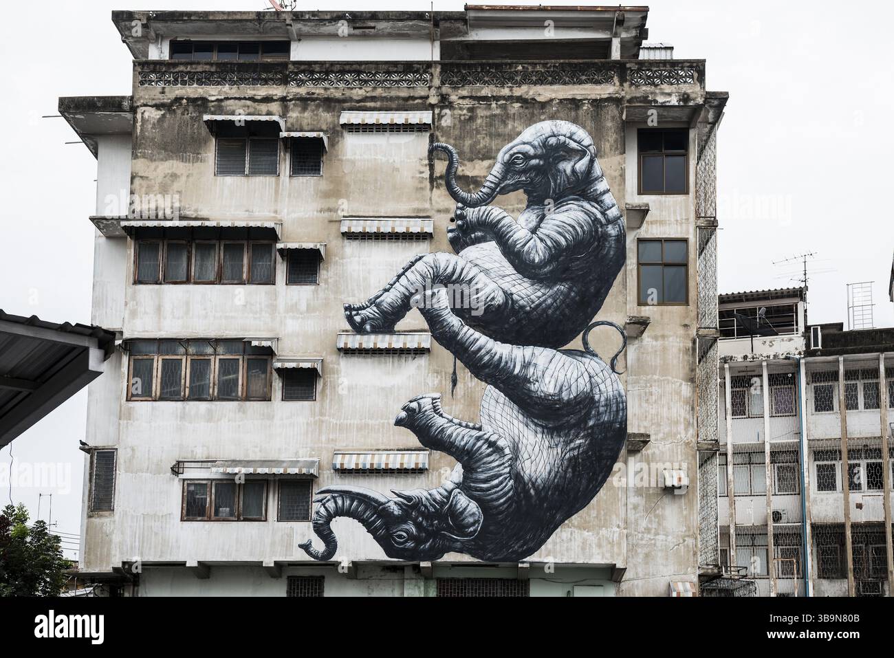 Graffiti, Street Art, Chinatown, Bangkok, Thailand, Asia Stock Photo ...