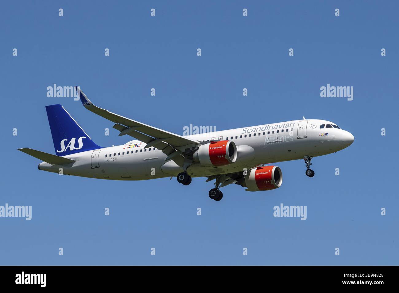 Aircraft SAS Scandinavian Airlines, LN-RGN, Airbus A320neo Stock Photo - Alamy