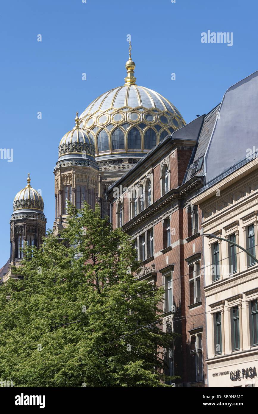 New synagogue in Berlin with golden dome next to classical buildings ...