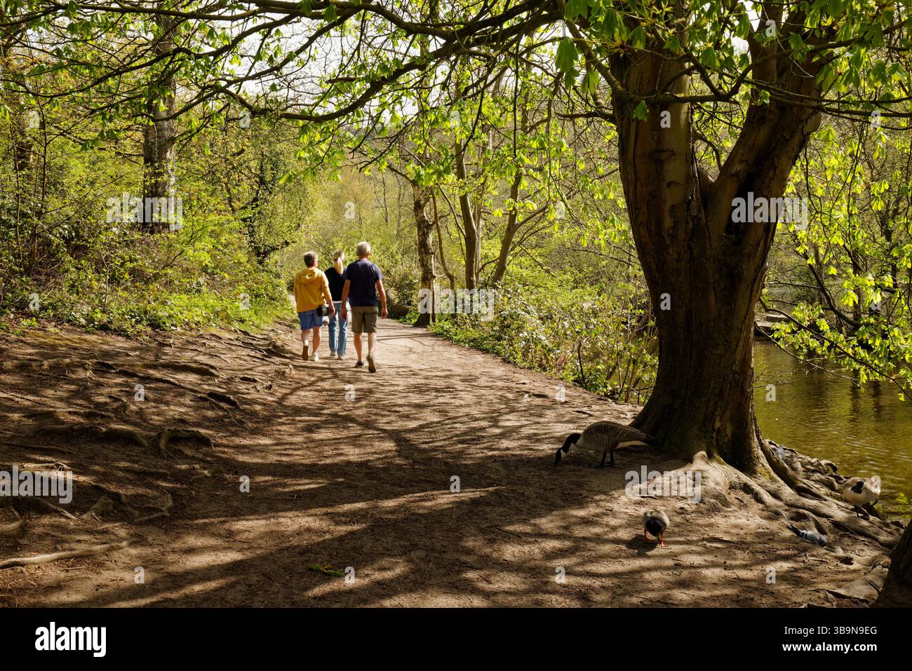 Etherow country park people hi-res stock photography and images - Alamy