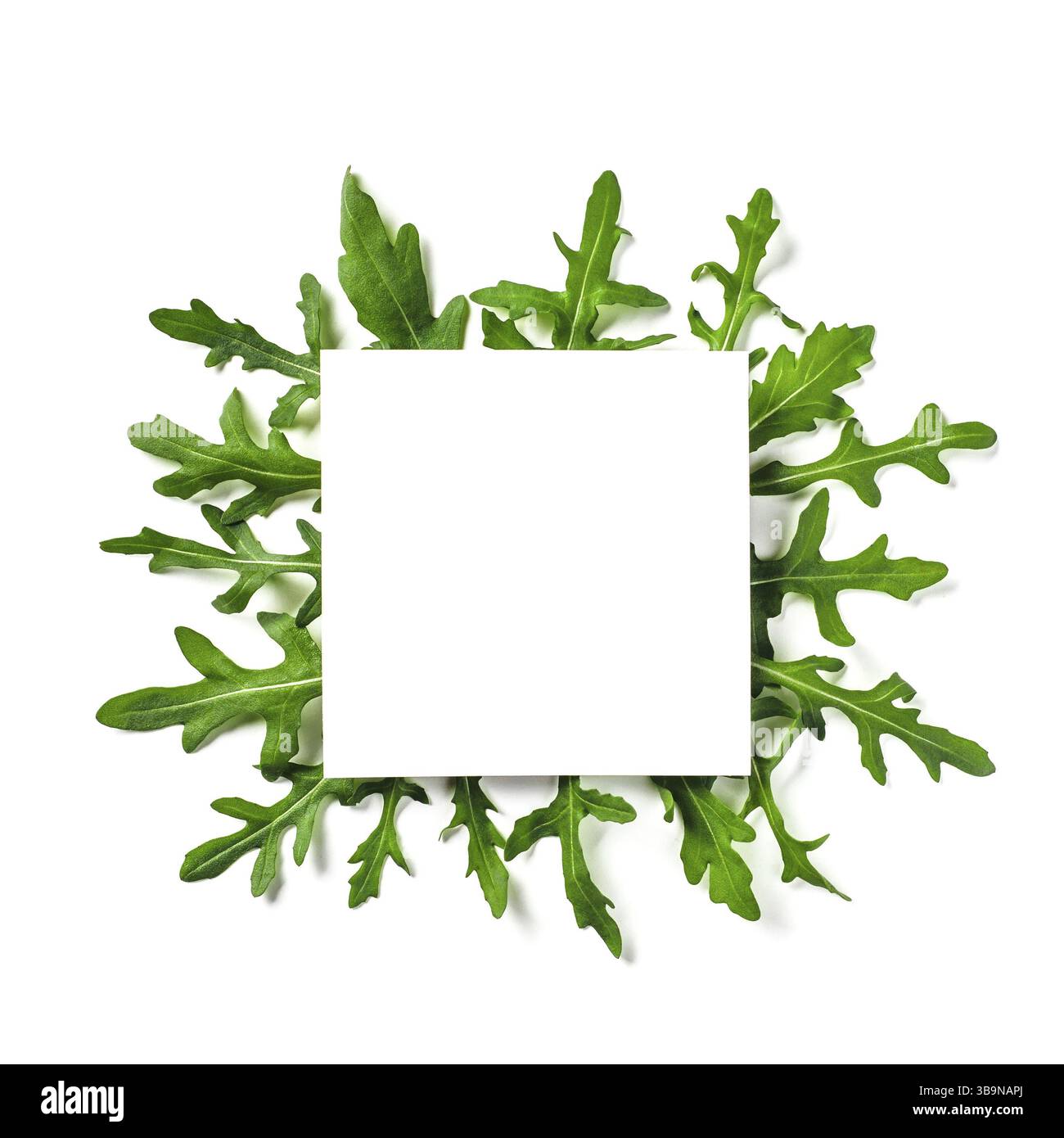 Plan? text on paper Cut Out Stock Images & Pictures - Alamy