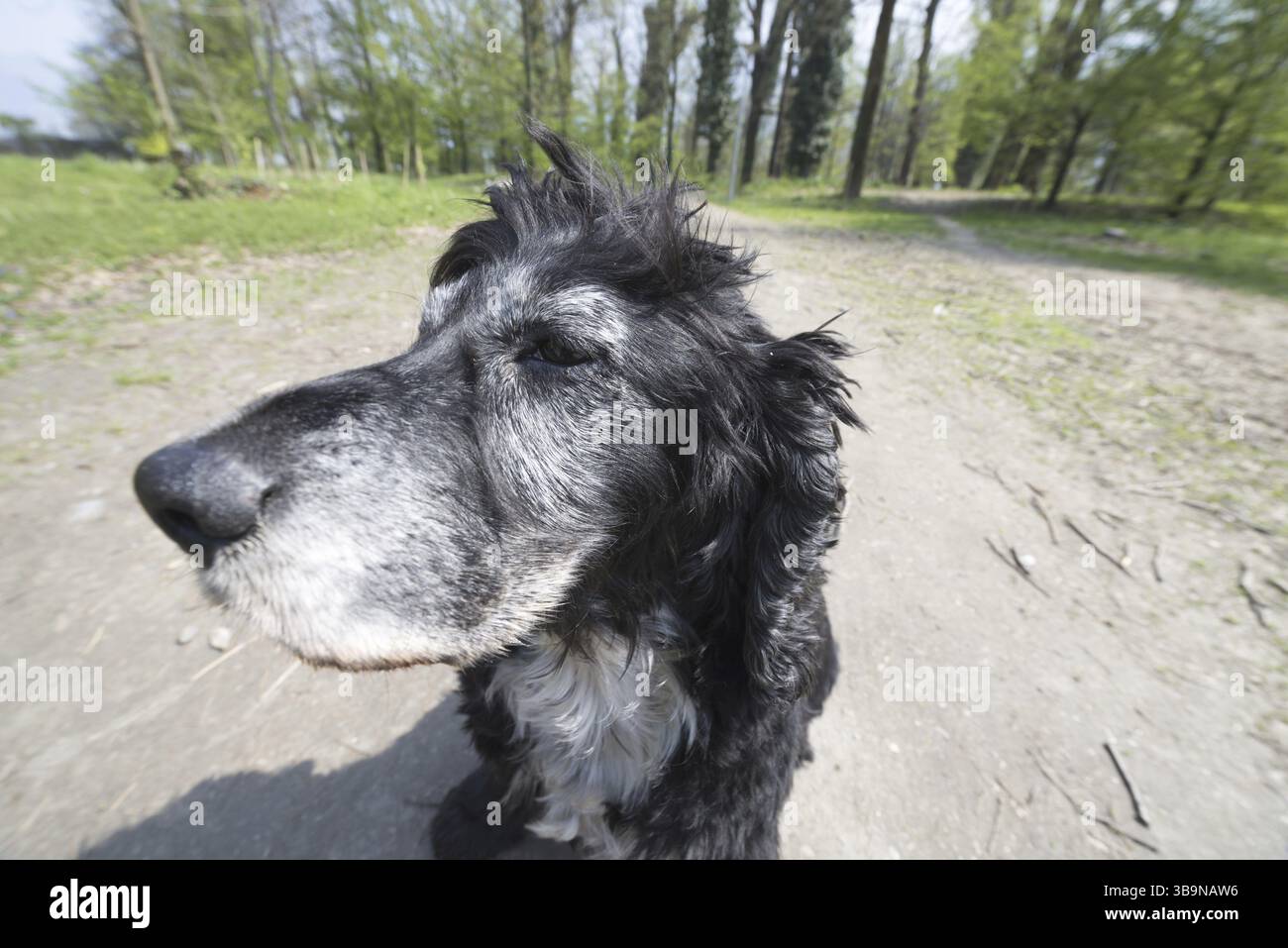 Seat and sit down hi-res stock photography and images - Alamy