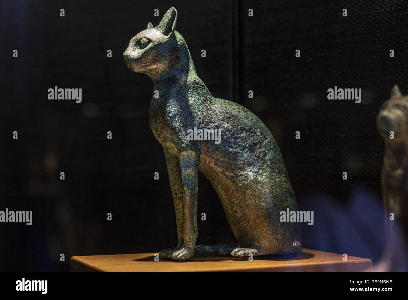 Votive vows, which contained a cat mummy, Gregorian Egyptian Museumn ...