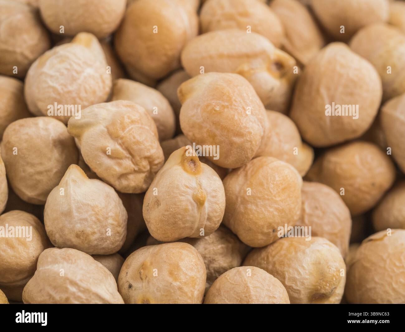 Extreme close up view of raw chickpea as background or pattern Stock ...