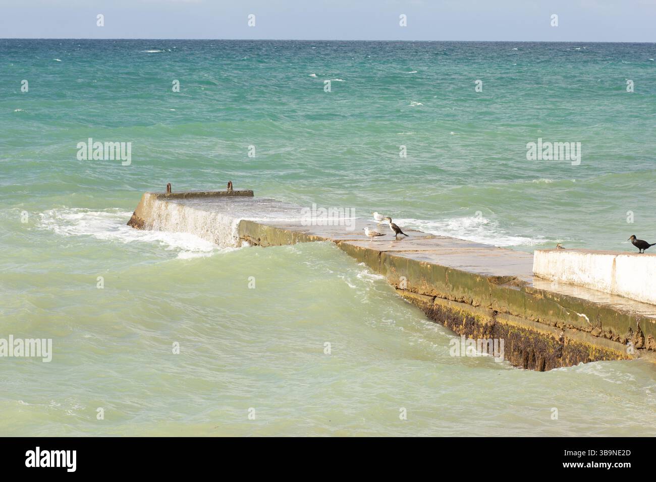 Breakwater structure coastal area to protect against tides, currents ...