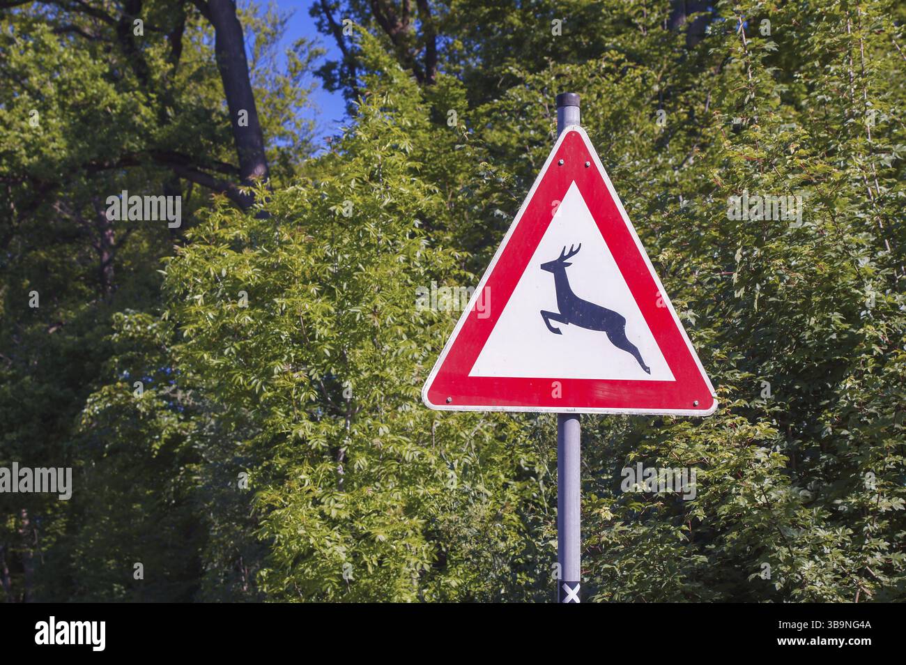 Red and white triangular deer crossing warning traffic sign in front of ...