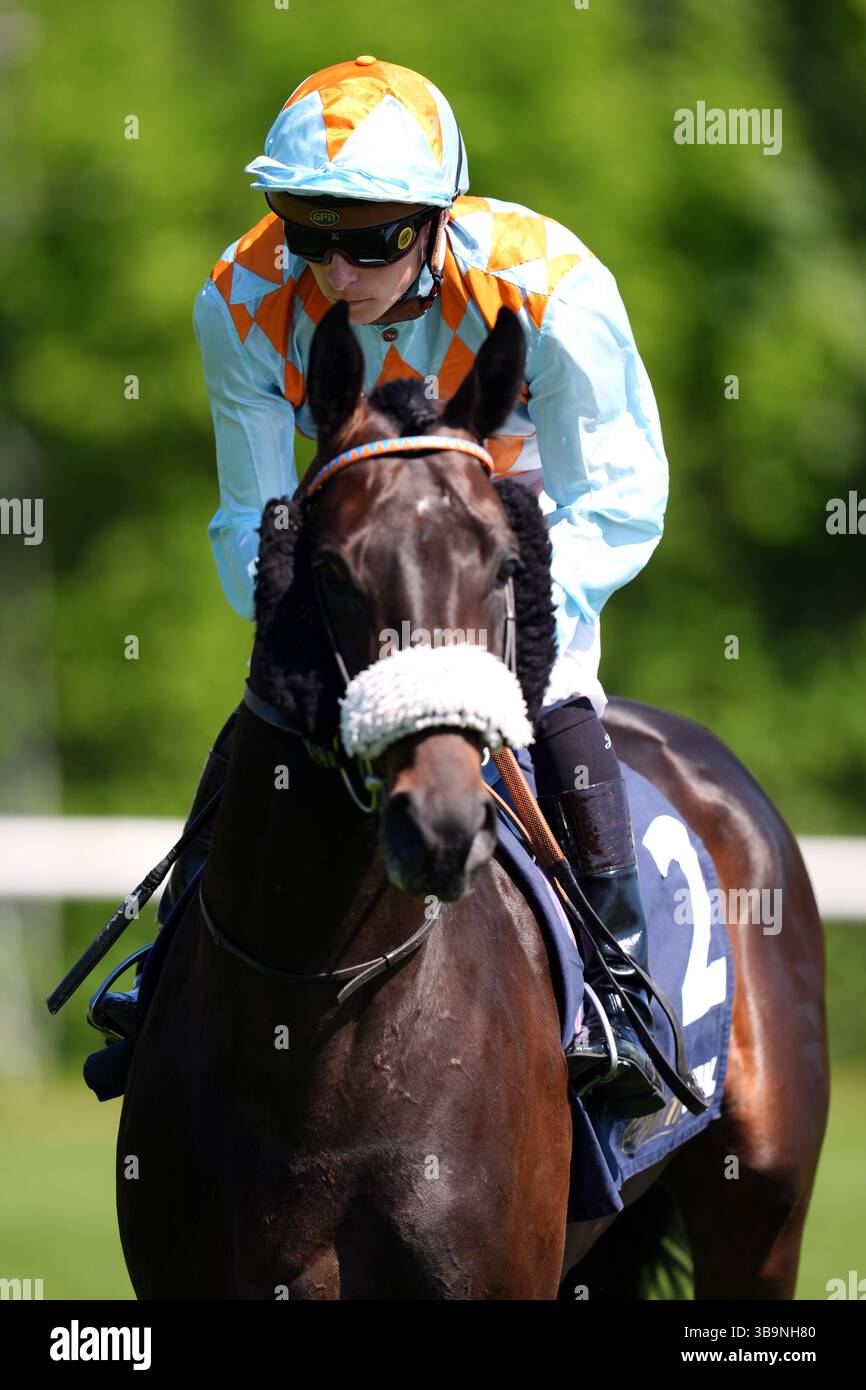 Our 'enery ridden by Jason Watson ahead of the William Hill Lingfield ...