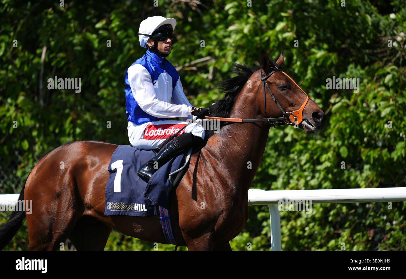 Nightime Dancer ridden by Sean Levey ahead of the William Hill ...