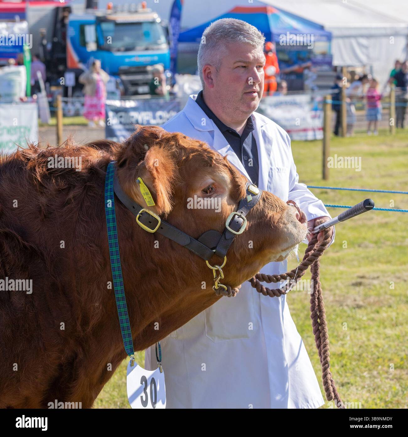 Ayr, UK. 10th May, 2025. Thousands of spectators, farmers, people with ...