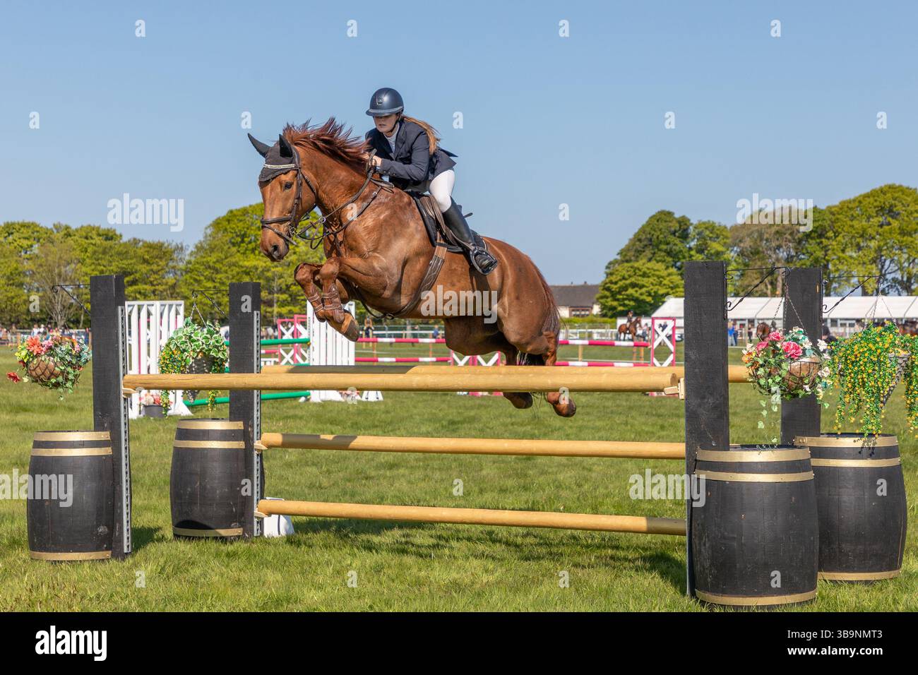 Ayr, UK. 10th May, 2025. Thousands of spectators, farmers, people with ...