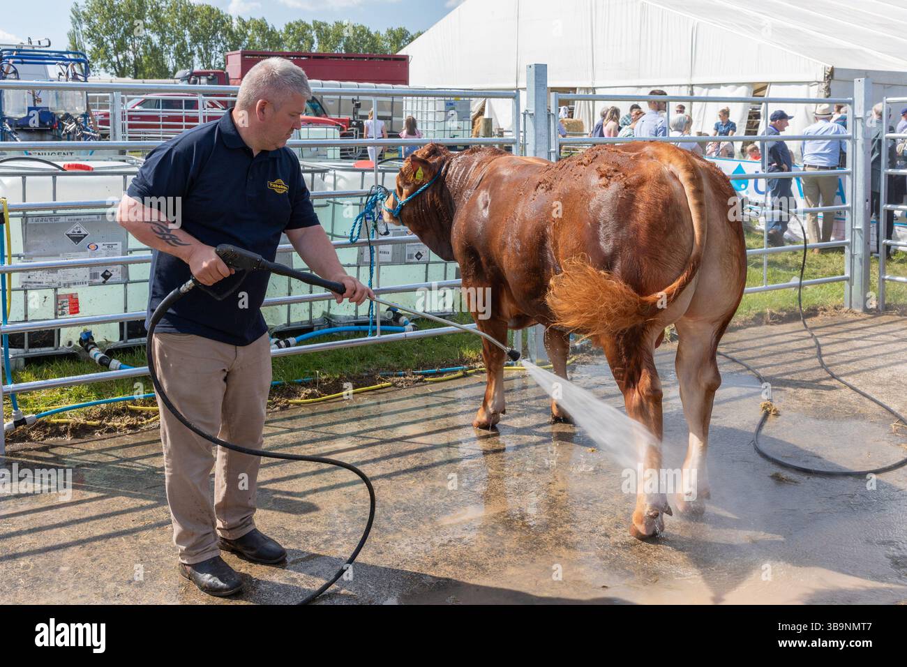Ayr, UK. 10th May, 2025. Thousands of spectators, farmers, people with ...