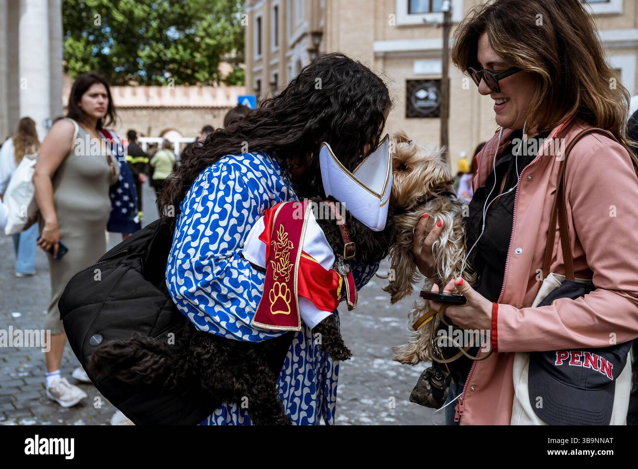 Vatican, Vatican, Vatican. 8th May, 2025. A dog with an archbishop hat ...