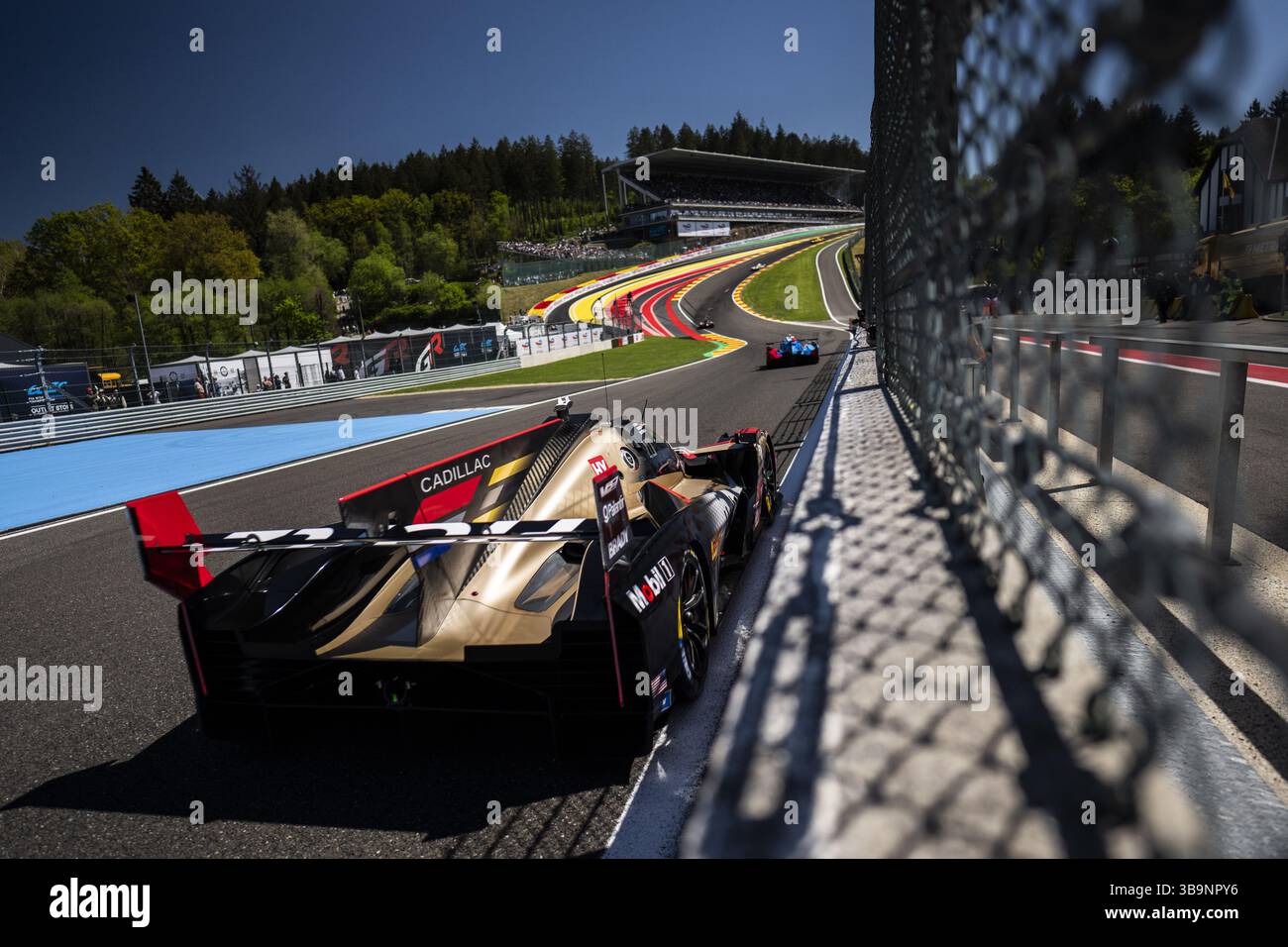 12 LYNN Alex (gbr), NATO Norman (fra), STEVENS Will (gbr), Cadillac Hertz Team Jota, Cadillac V ...