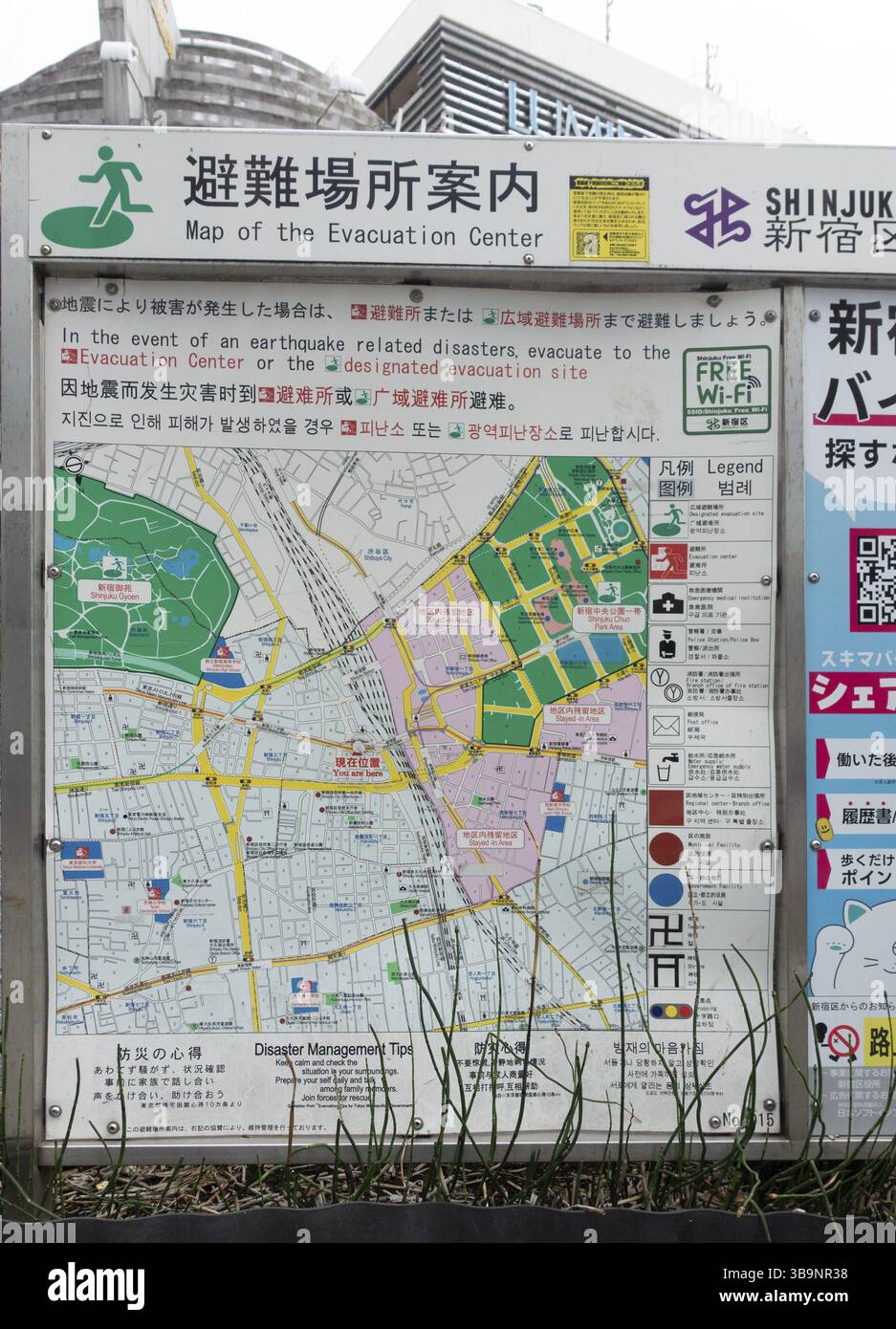 Street map of Shinjuku district showing You are here in both English ...