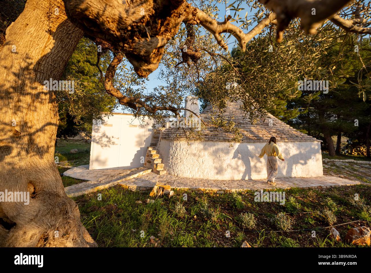 A traditional trullo with a conical stone roof stands quietly in the ...