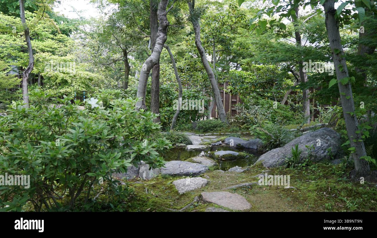 Tranquil Pathways of Yūraku-en:Harmony in a Japanese Garden Stock Photo ...