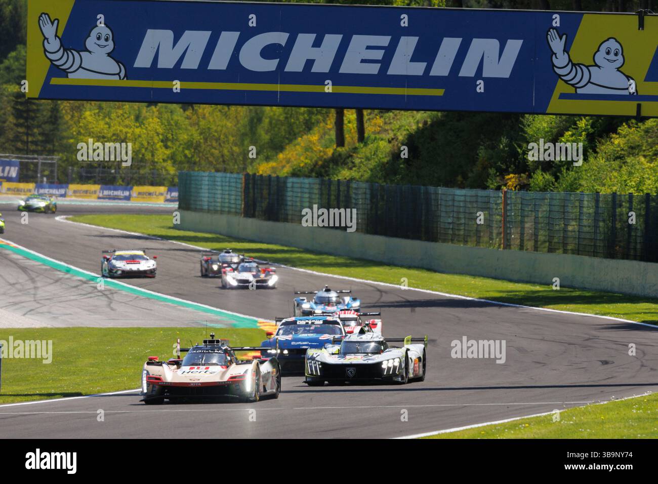 12 LYNN Alex (gbr), NATO Norman (fra), STEVENS Will (gbr), Cadillac Hertz Team Jota, Cadillac V ...