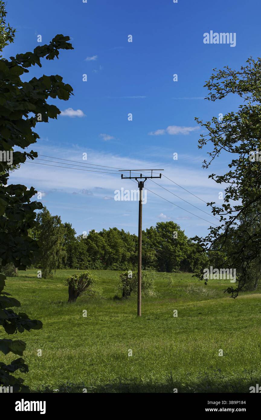 Wooden power pole standing in green field under blue sky Stock Photo ...